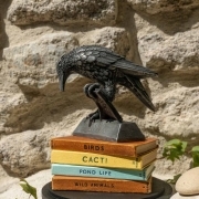 Rook With A Book Statue - Thrussells